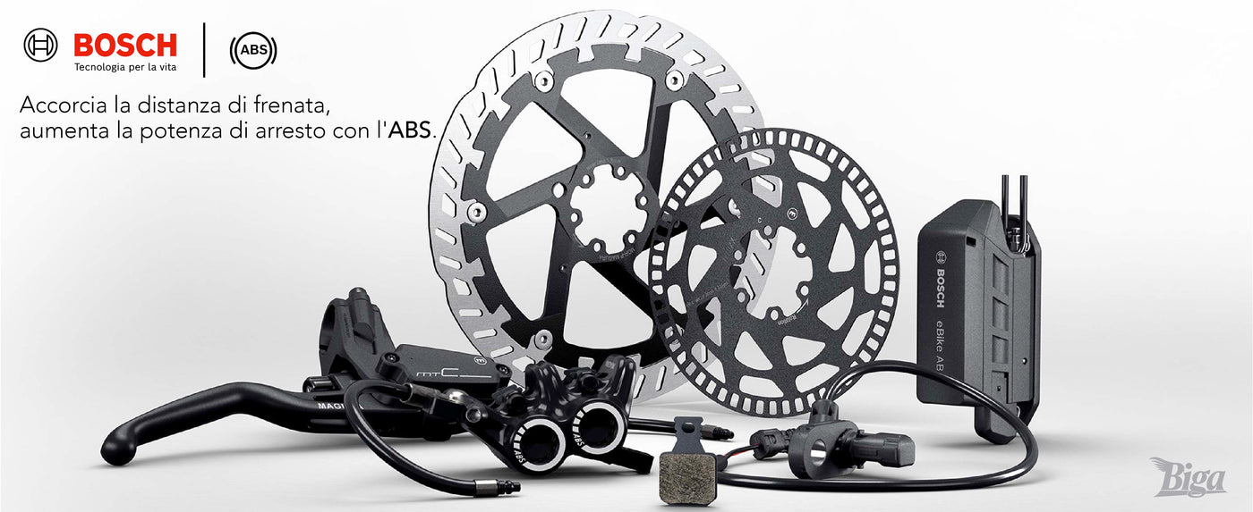 Biga - Cargo Bike Specialized